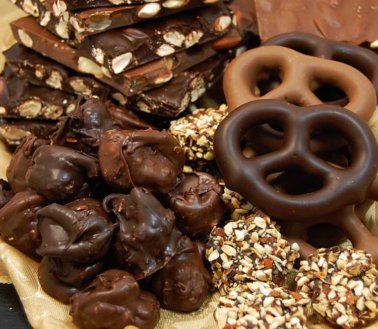 Artisan Chocolate Sampler